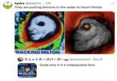 Hurricane Milton's Face | Know Your Meme