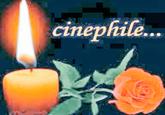 Cinephile Candle | Know Your Meme