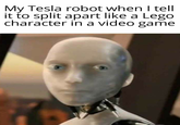 My Tesla Robot Staring | Know Your Meme