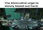 The Masculine Urge to Slowly Bleed Out Here | Know Your Meme