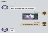 September 23rd, 2024 post to /r/SundayMainsHSR | Sunday's "Charmony Dove" Copypasta | Know Your Meme