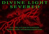 Divine Light Severed | Know Your Meme
