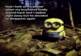 Do you hate me be honest | Minion Staring in the Forest | Know Your Meme