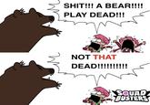 A Bear! Play Dead! Not That Dead! | Know Your Meme