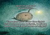 Just Keep Swimming | Anglerfish That Swam to the Surface and Died ...