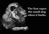 The Lion Rapes Anything That Speaks | The Lion Rapes the Small Dog When ...
