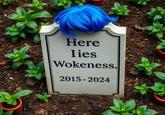 Here Lies Wokeness 2015-2024 | Know Your Meme