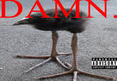 Original "DAMN!" Pūkeko Meme by IG user @liliumbirder | Know Your Meme