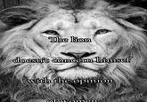 The Lion Doesn't Care About the Opinion of N | Sigma Lion / The Lion ...