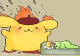 Pompompurin | Know Your Meme