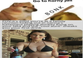 A "Bonk":https://knowyourmeme.com/memes/bonk-cheems meme showing "Cheems":https://knowyourmeme.com/memes/cheems and the "Your Cool Aunt Sneaks You Your First Drink" "meme":https://knowyourmeme.com/memes/memes.