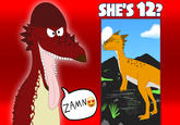 Zamn She's 12? | Know Your Meme