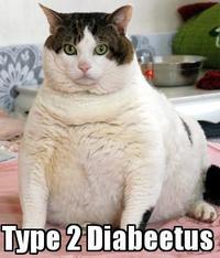 Diabeetus: Image Gallery (Sorted by Low Score) (List View) | Know Your Meme