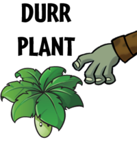 DURR PLANT: Image Gallery (List View) | Know Your Meme