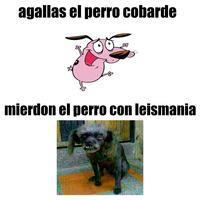 Este es Mierdon: Image Gallery (List View) (List View) | Know Your Meme