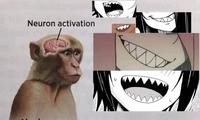 Neuron Activation: Image Gallery | Know Your Meme