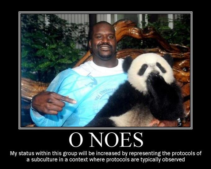 [Image - 7646] | Shaq holding a panda | Know Your Meme