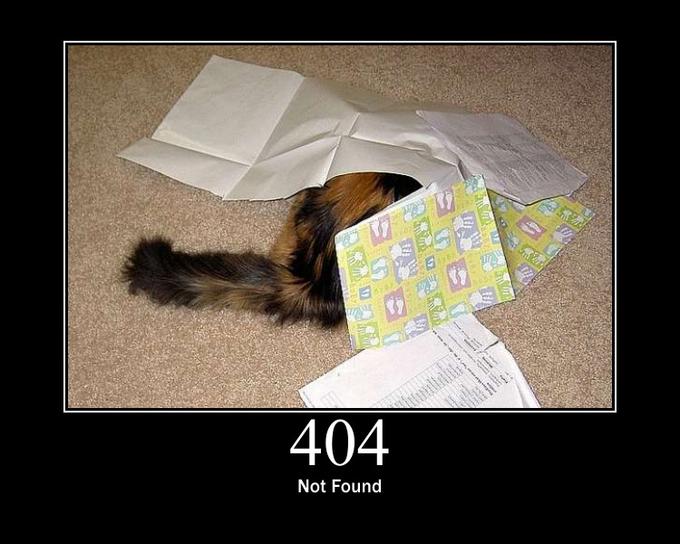  Image 236756 HTTP Status Cats Know Your Meme