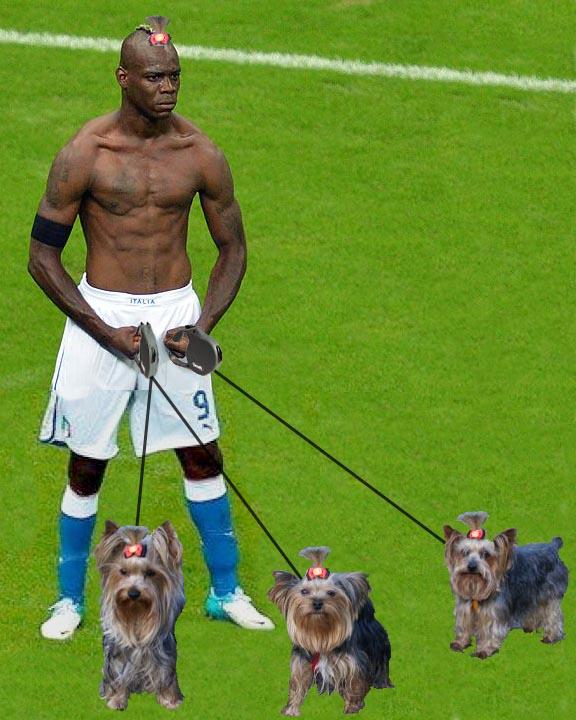 Original | Balotelli dogs | Know Your Meme