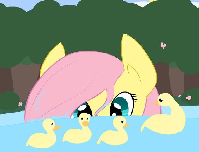 Shy n' ducks | My Little Pony: Friendship is Magic | Know Your Meme