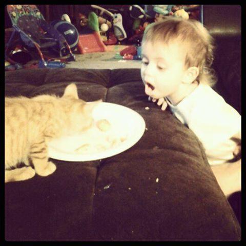 Battle for the Tater tot | Know Your Meme