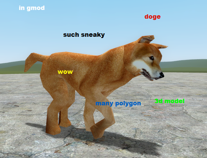 such modelle | Doge | Know Your Meme