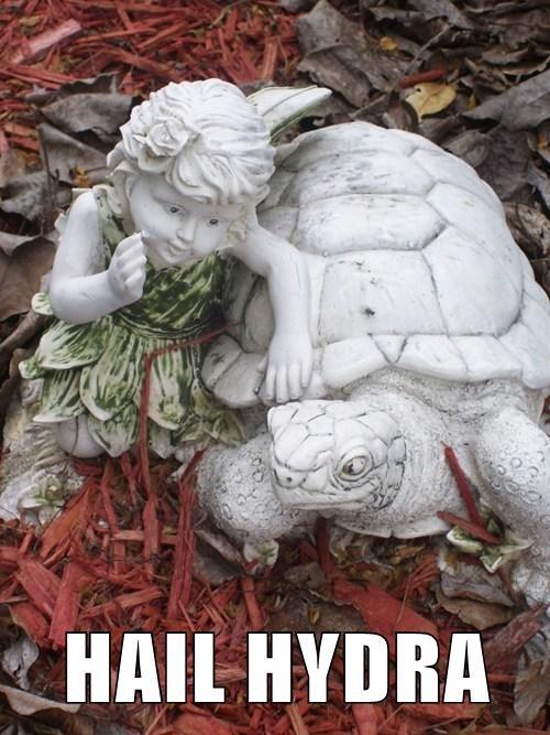 Captain America needs to invade my landscaping | Hail Hydra | Know Your ...