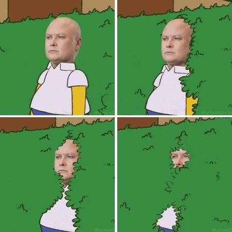 Varys is watching | Homer Simpson Backs Into Bushes | Know Your Meme