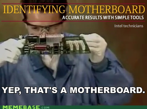 [Image - 816791] | Identifying Wood | Know Your Meme