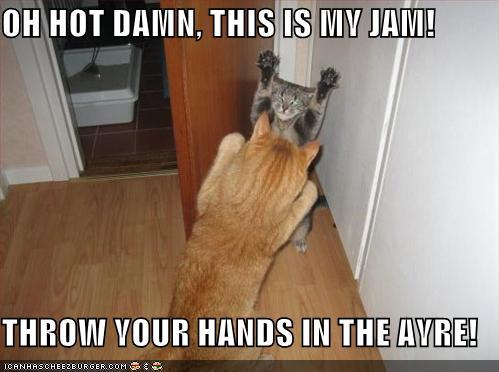 [Image - 835070] | This Is My Jam | Know Your Meme