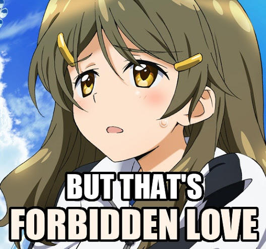 [Image - 857352] | That's Forbidden Love | Know Your Meme