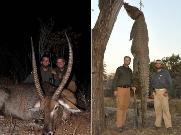 Trophy Hunting Controversies | Know Your Meme