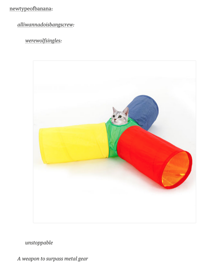 cat | A Weapon to Surpass Metal Gear | Know Your Meme