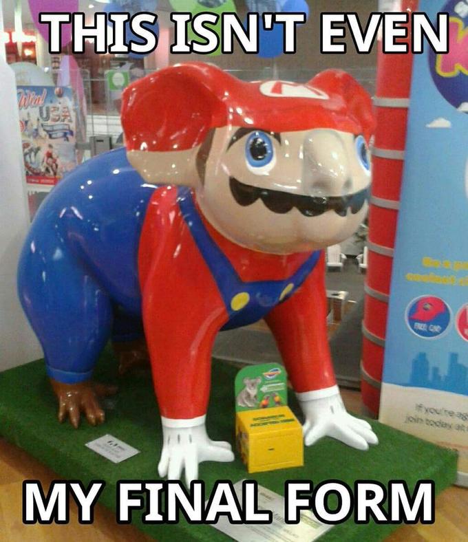 The Mario Ride | Koala Mario | Know Your Meme