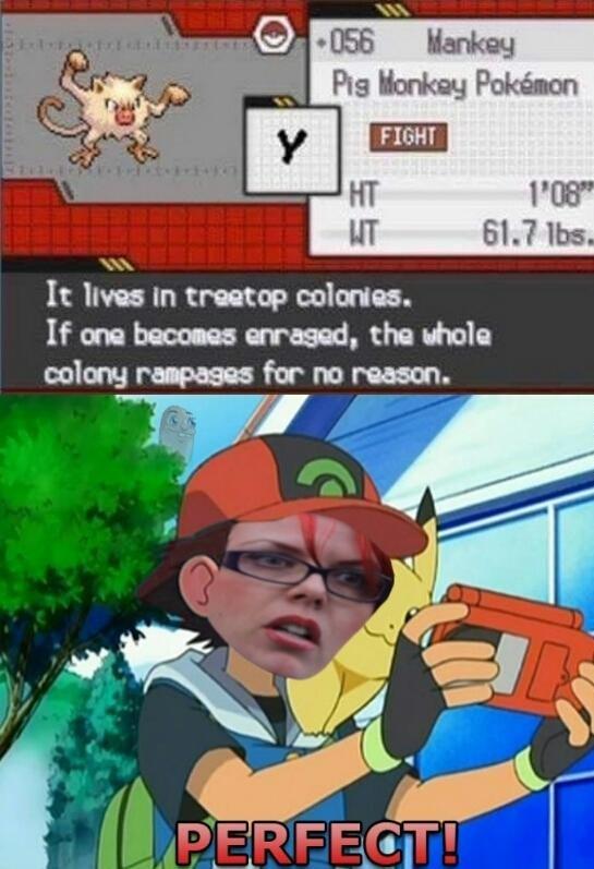 Pokemon Meme Red