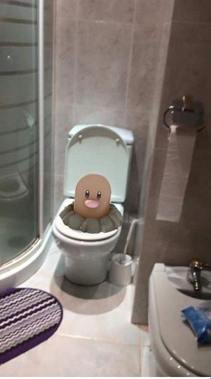 Who's That Poopymon? | Pokémon GO | Know Your Meme