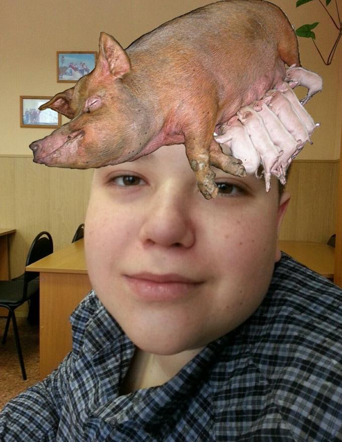 Pig Edit | NFKRZ | Know Your Meme