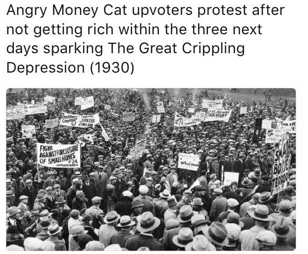 Angry Money Cat upvoters protest after not getting rich within the ...