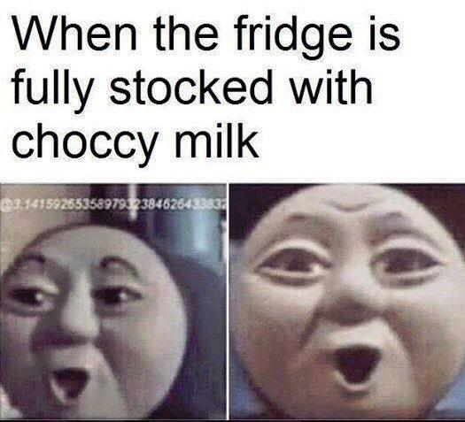 when the fridge is stocked with choccy milk | Know Your Meme