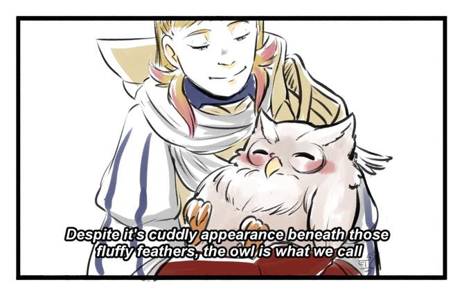 True facts about Feh the Owl (1) | Know Your Meme