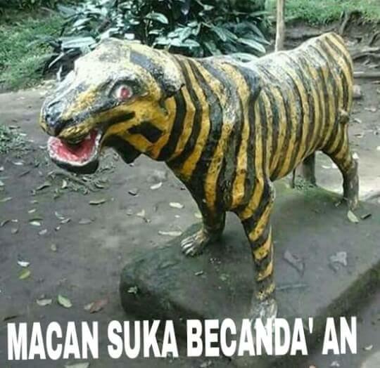 Playful Tiger | Harimau Lucu | Know Your Meme