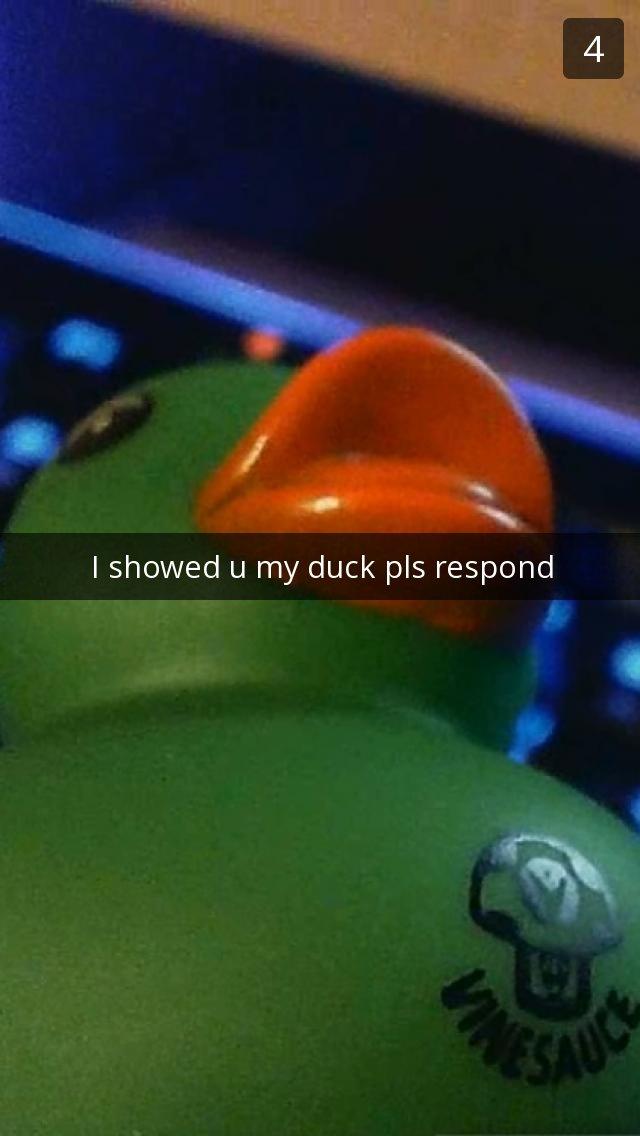 Duck | I Showed You My Dick Please Respond | Know Your Meme