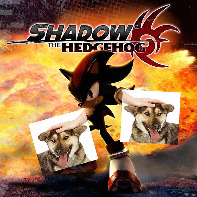 Play time is over | Shadow The Hedgehog | Know Your Meme