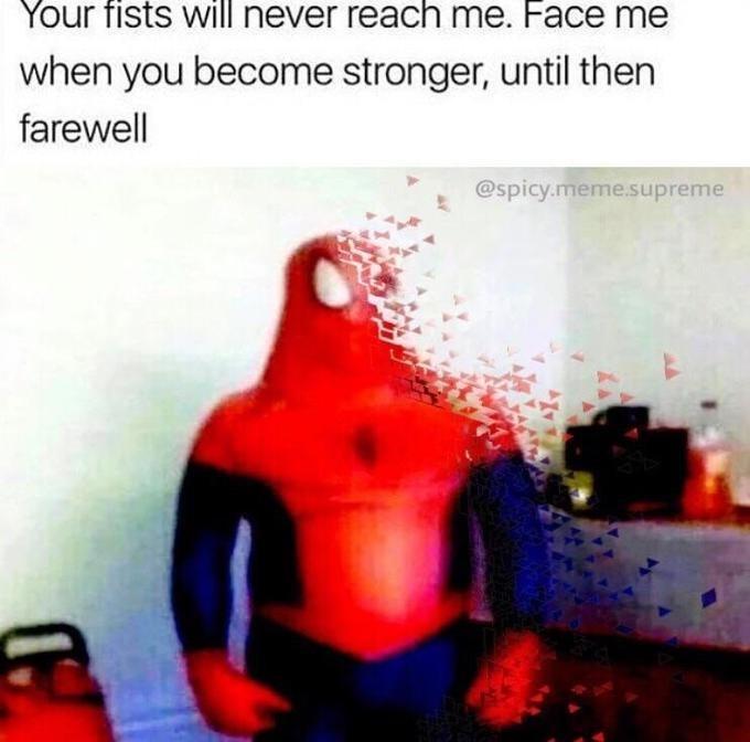 Farewell | Disintegration Effect / I Don't Feel So Good | Know Your Meme