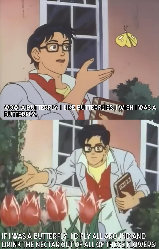 Guy With Butterfly Meme Anime Butterfly Meme Template