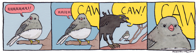Juncrow Annoyed Bird Know Your Meme