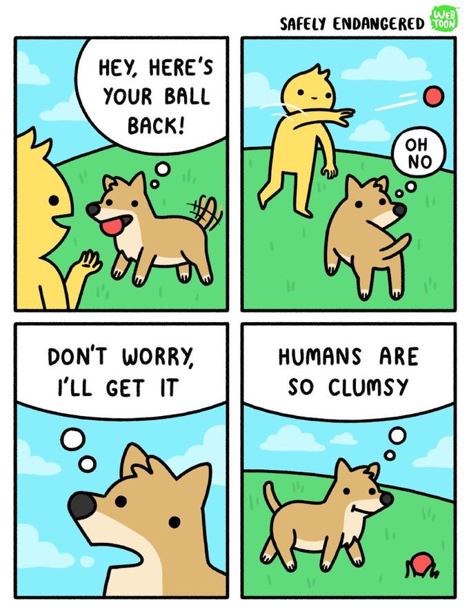 "Ball" | Dogs | Know Your Meme