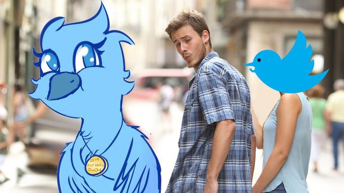 Something bird related here | #TweetFur | Know Your Meme