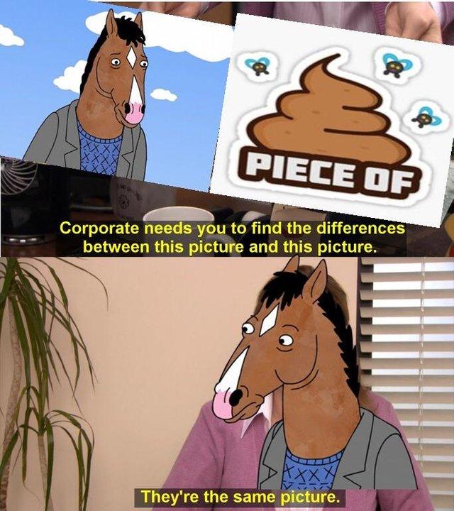 Bojack Horseman They re The Same Picture Know Your Meme