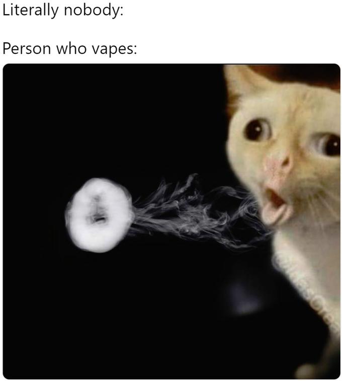 Literally No One Meme Template